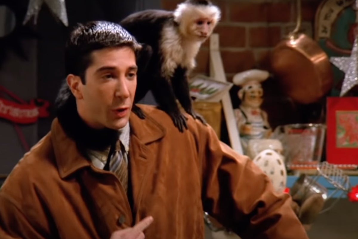 ¿Qué ha estado haciendo Marcel the Monkey desde Friends? | Independent ...