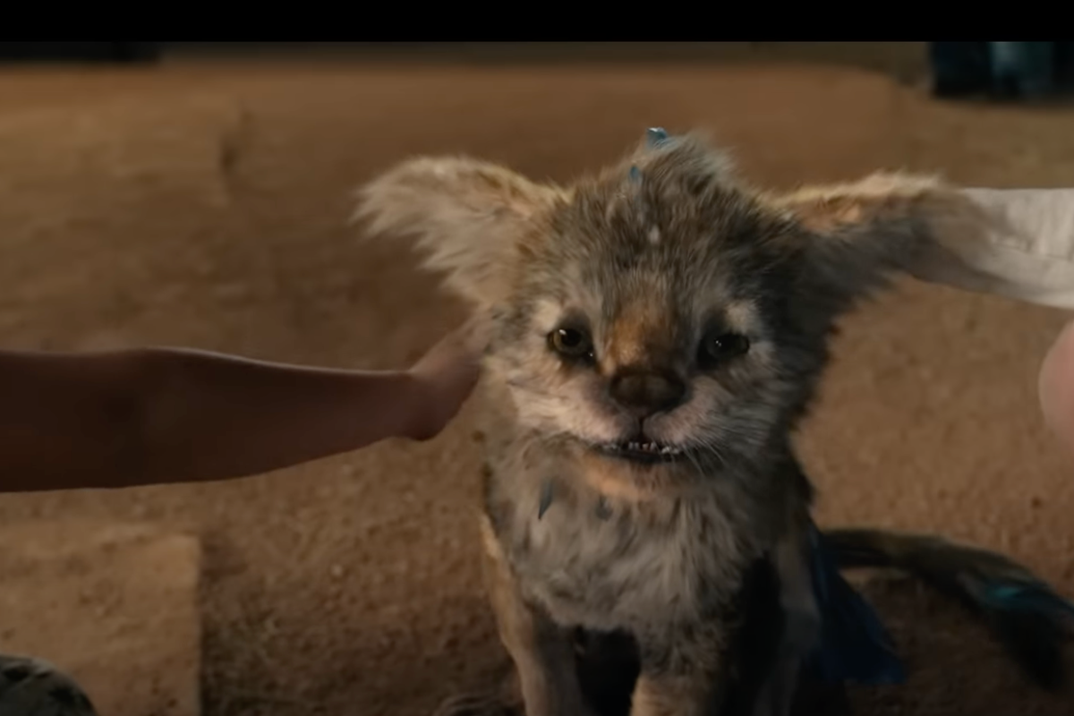 ‘Chupa’: Netflix reinventa el mito del ‘Chupacabras’ con nueva película ...