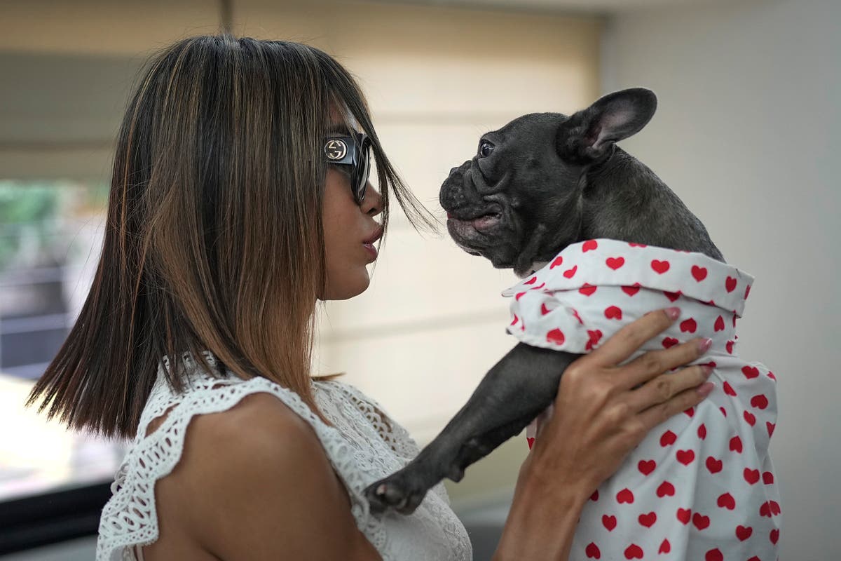 Mujer transgénero busca competir en el Miss Venezuela | Independent Español