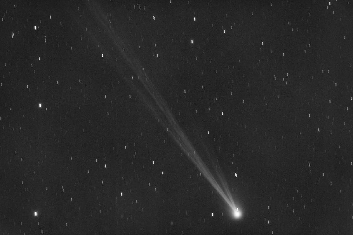 ¿Qué es el Cometa Diablo y cuándo se podrá ver en México? | Independent ...