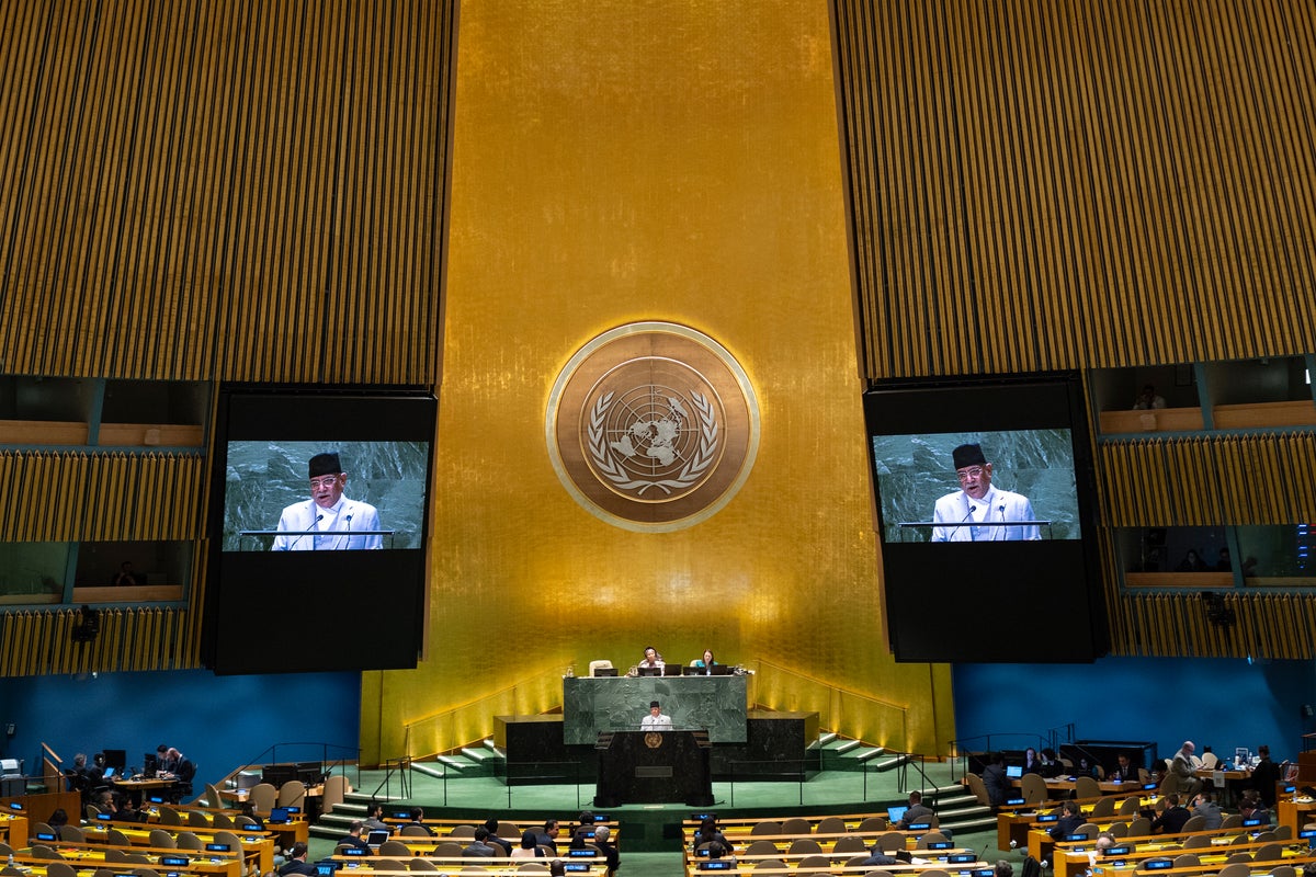 La IA está en la mente del mundo. ¿Es la ONU el lugar para dilucidar ...