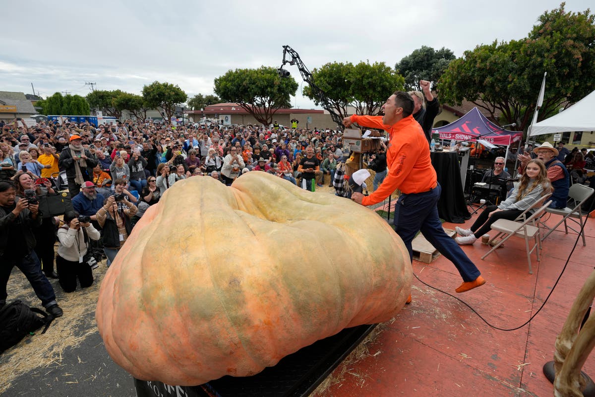 Calabaza de 1.247 kilos gana concurso en California y establece récord ...