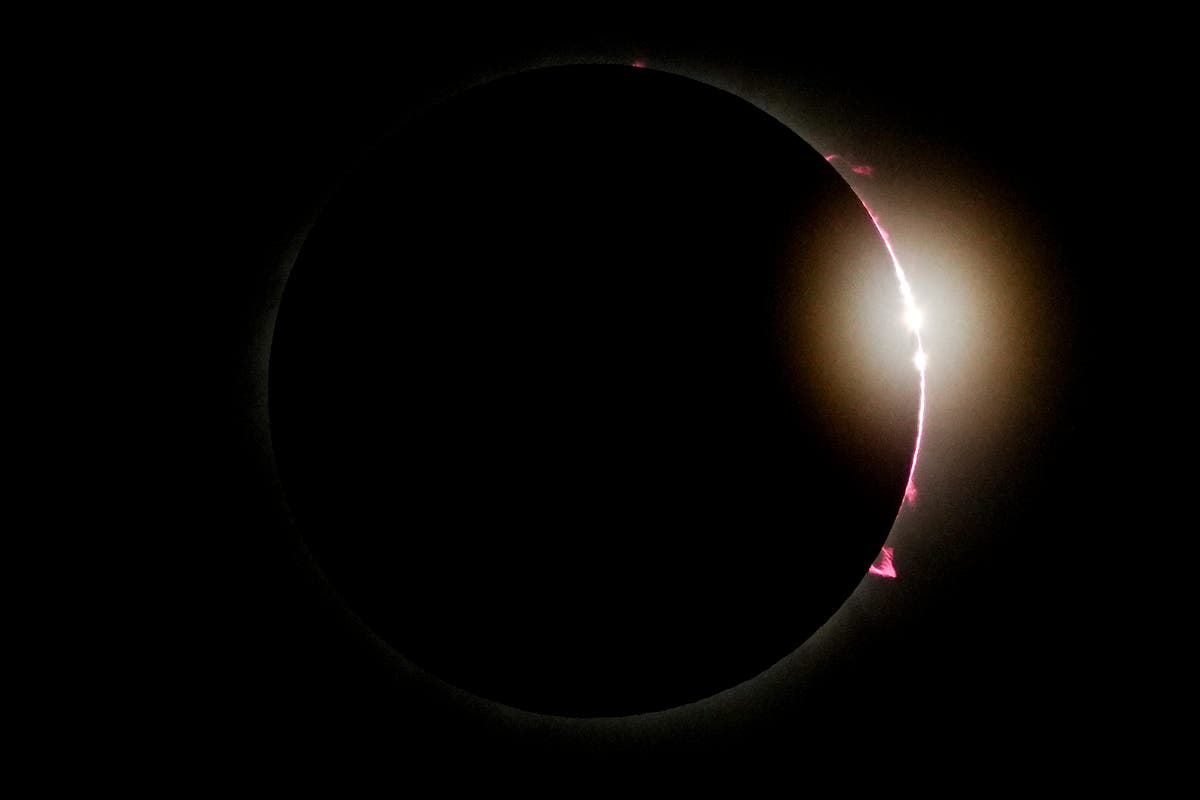 Eclipse total: noticiero mexicano mostró video de los testículos de un ...