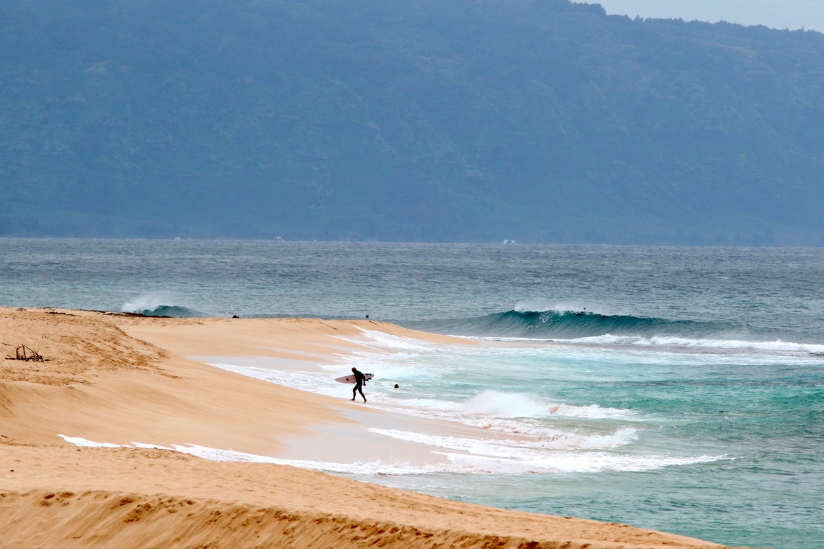 Un socorrista de Hawai muere en un ataque de tiburón cuando hacía surf ...