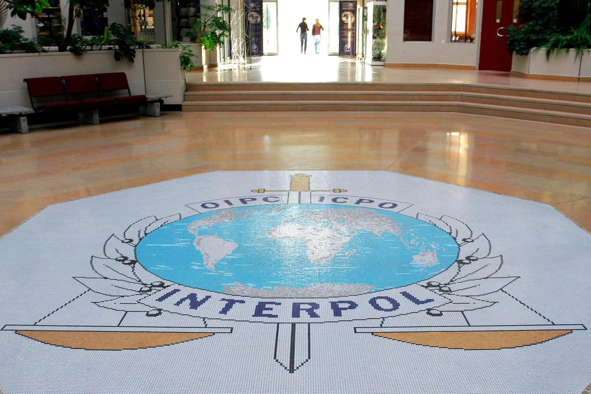 Interpol arresta a 300 personas en operativo contra grupos africanos de ...
