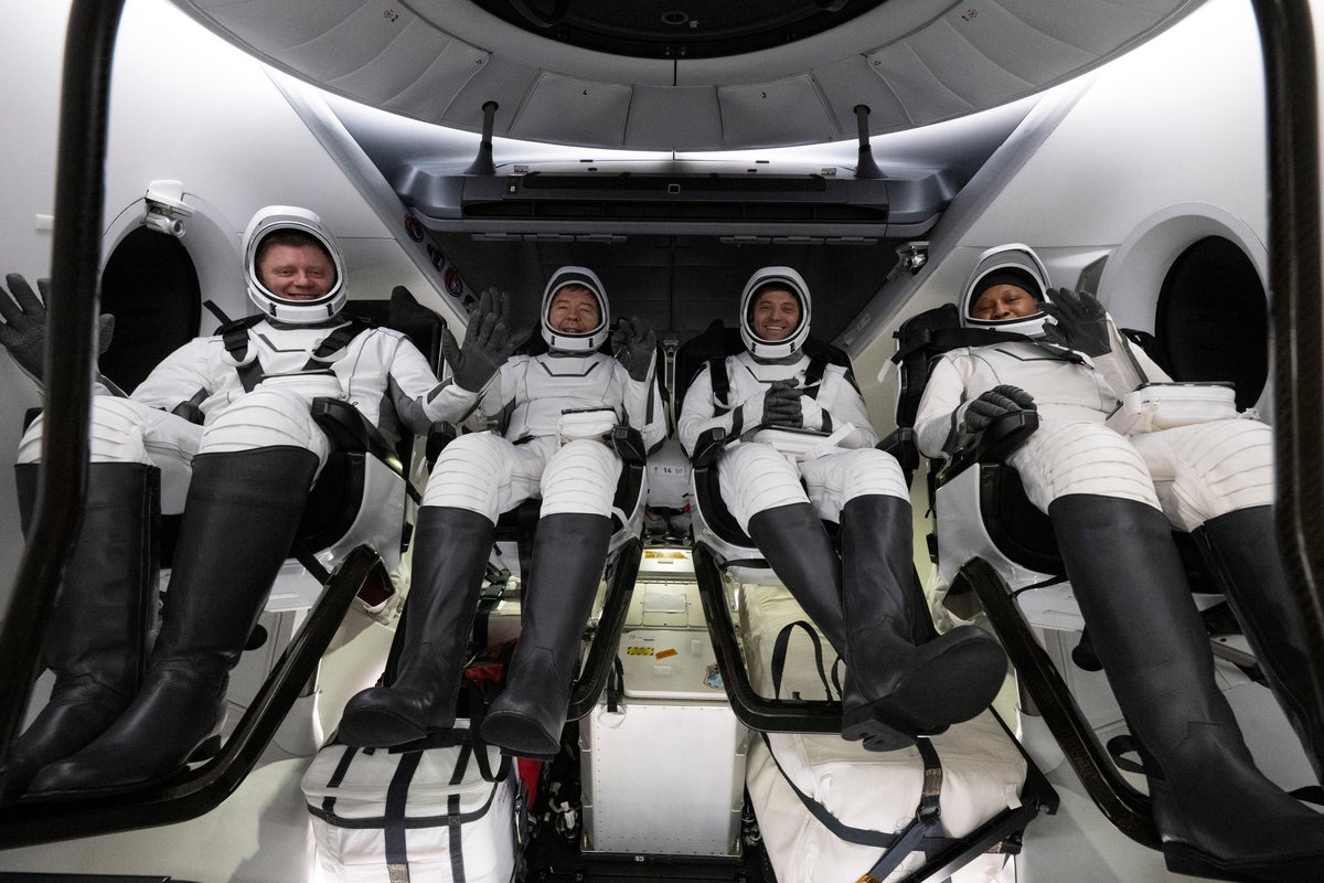 Astronautas de la misión SpaceX Crew-8 de la NASA reciben atención médica tras amerizar con ...
