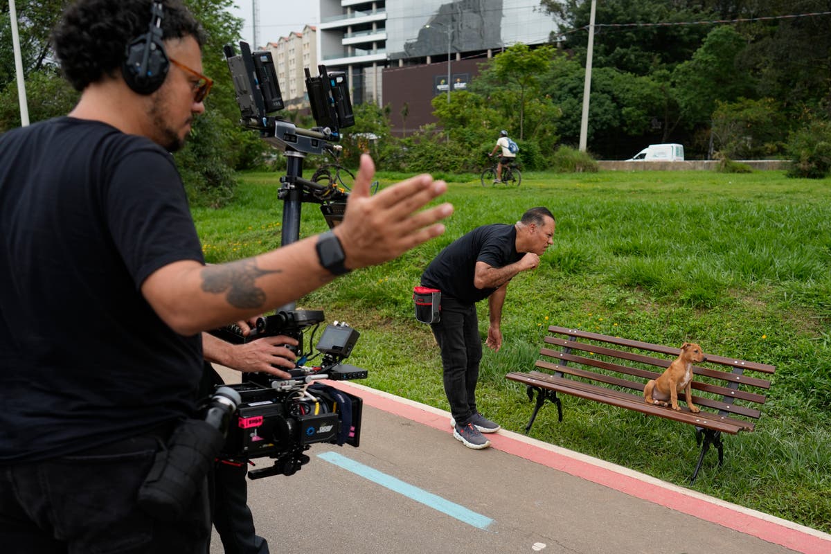 Olvide el fútbol y la samba. Este perro callejero color caramelo es el ...