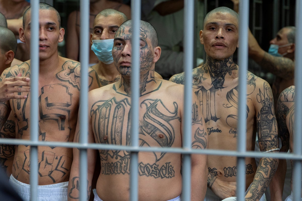 Condenados 52 Pandilleros De Barrio 18 En El Primer Juicio Colectivo En