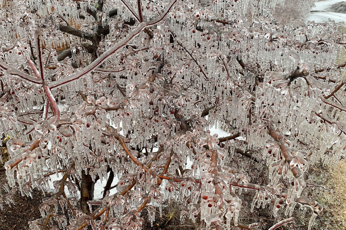 Lluvia helada azota región de los Grandes Lagos mientras Tennessee se ...